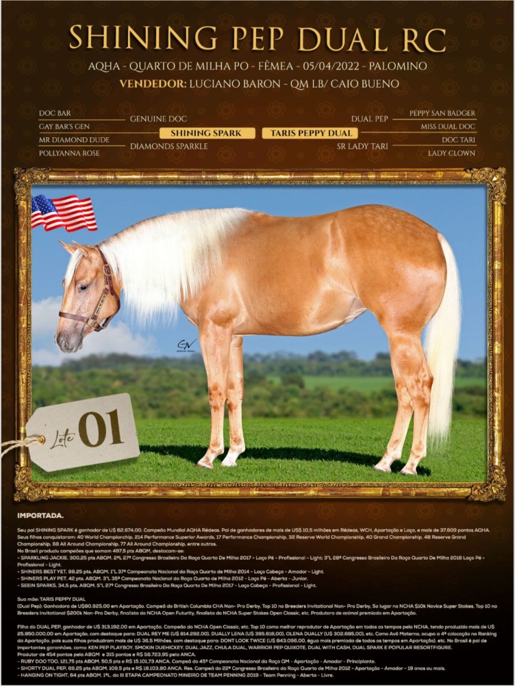 Lote: 001 - Taquari Horse